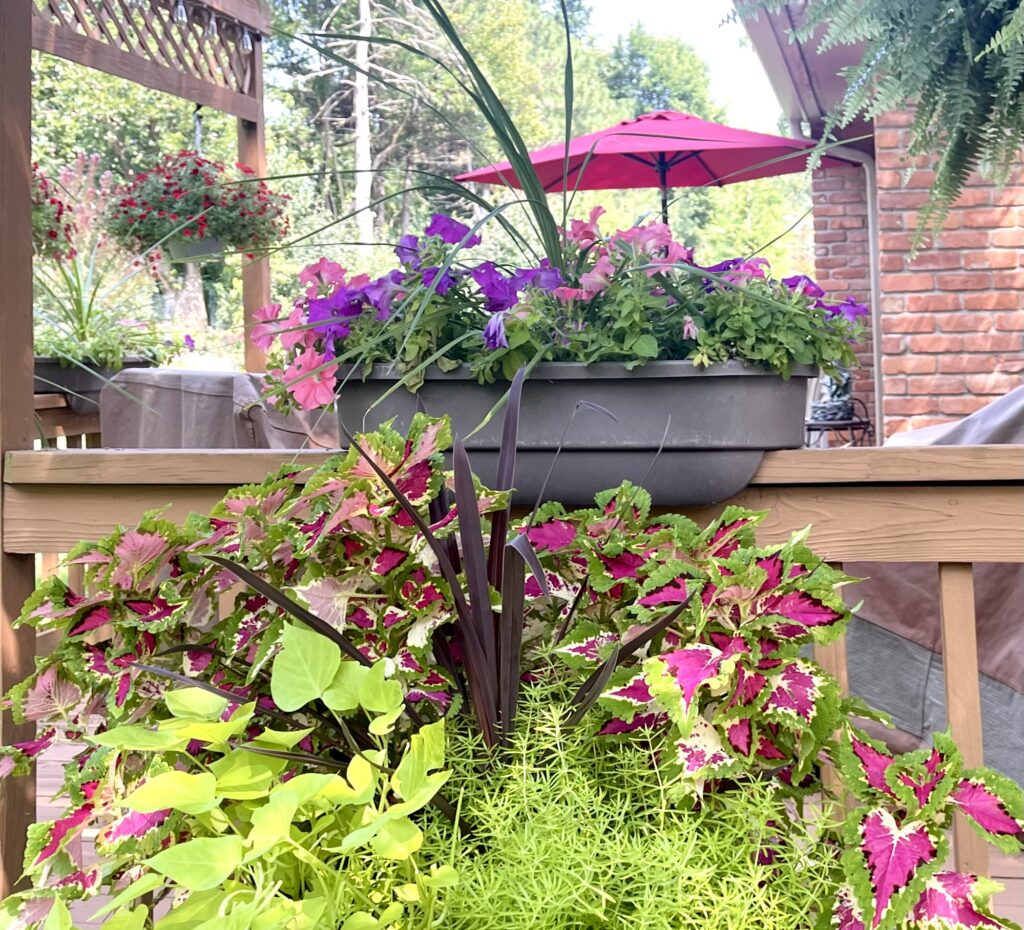 2025 Photo Album – Troy Garden Club