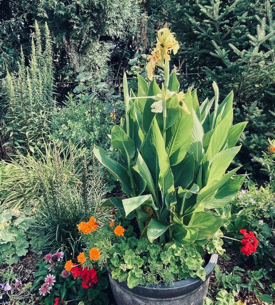 2025 Photo Album – Troy Garden Club